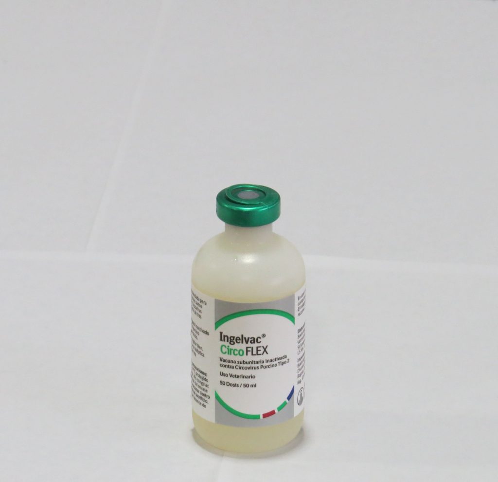 Ingelvac Circoflex x 50 Dosis - Servicampo del valle sa